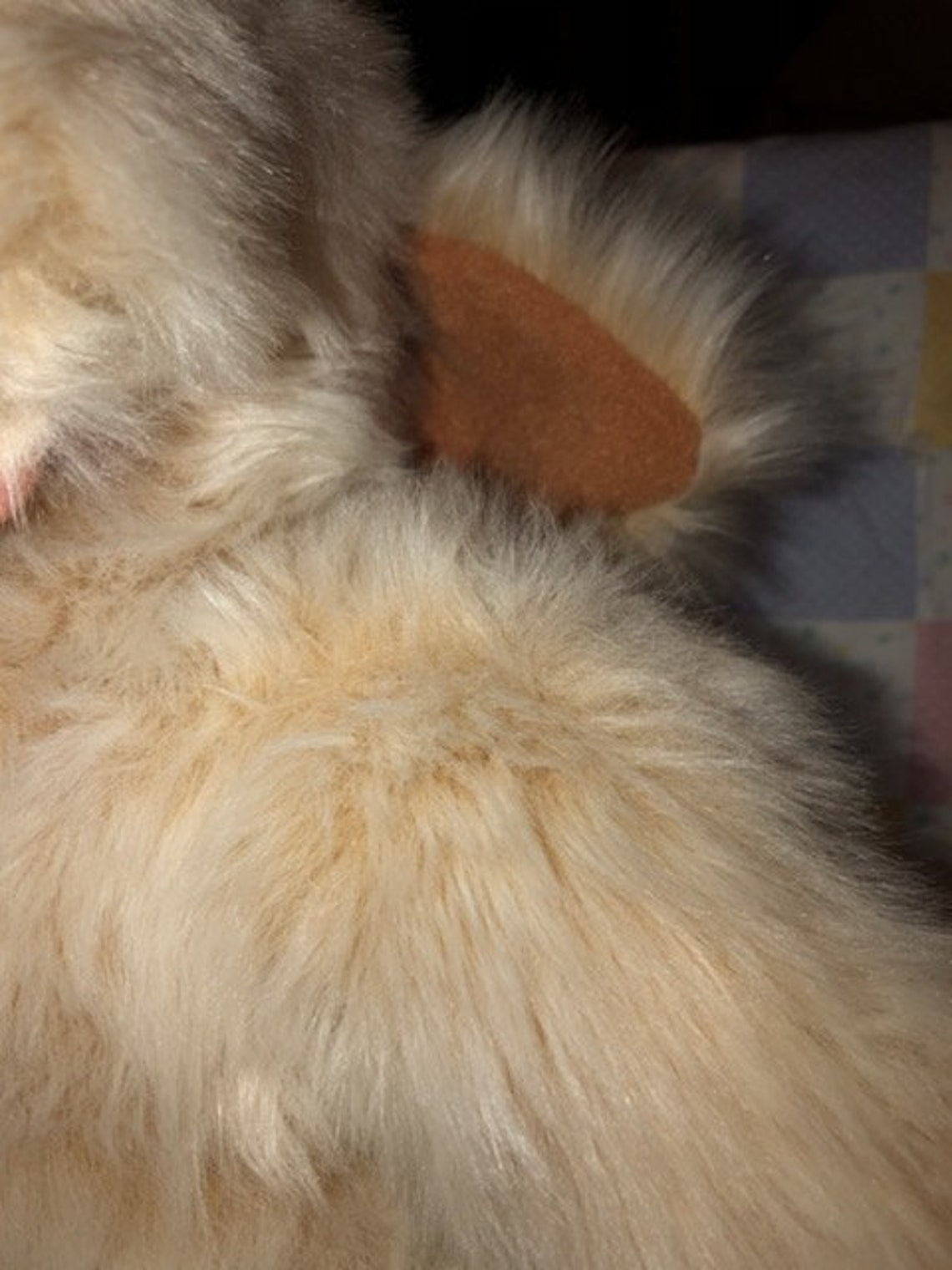 Vintage Russ Dog Plush Curly Fluffy Version 14 Cream - Etsy