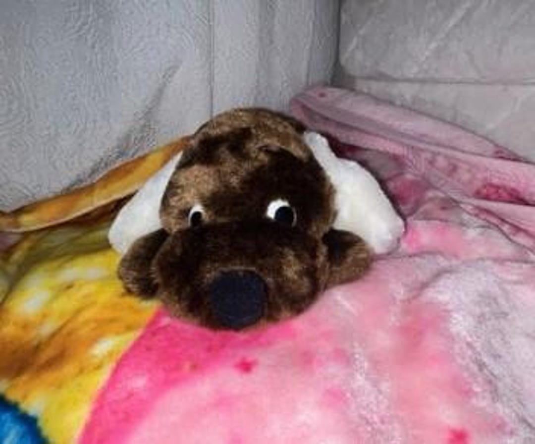 Vintage Dakin Drooper Dog Dark Brown White Ears 10" ECU 1973 - Etsy