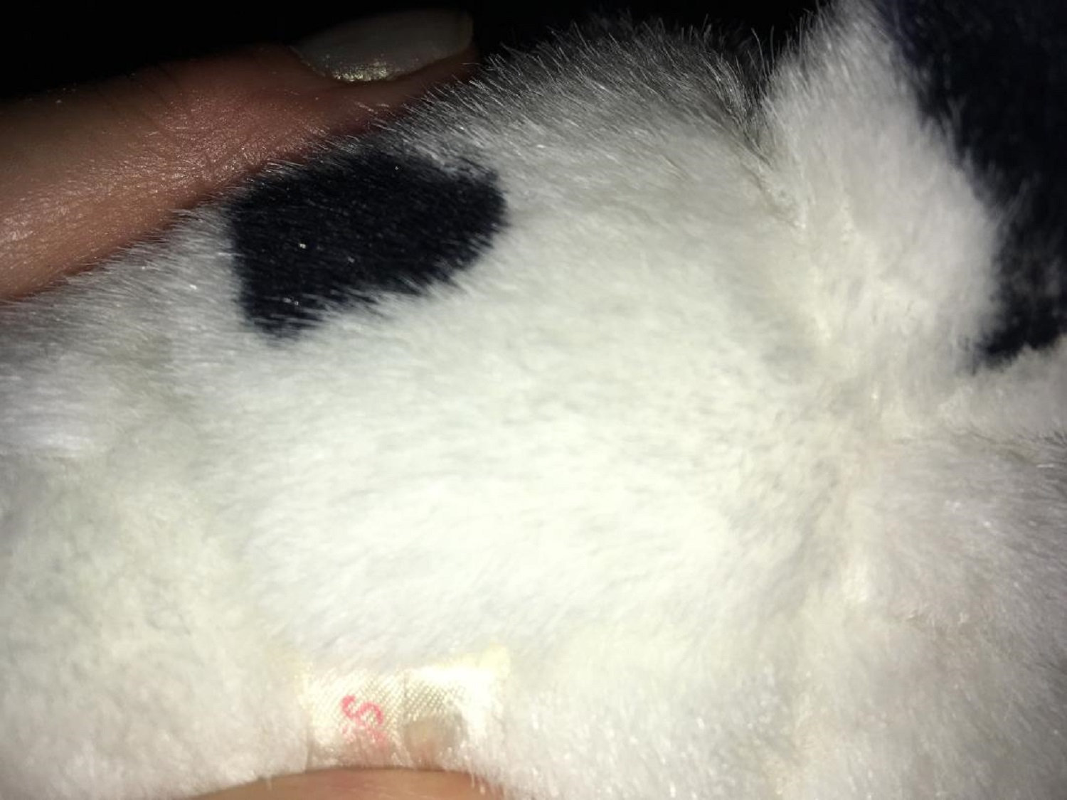 Office SPOTTIE DOTTIE BINDER // Vintage Sanrio Puffy Vinyl Trapper ...