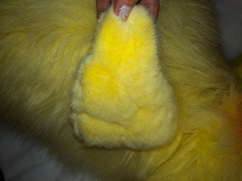 Vintage Dandee Duck Plush Fluffy Poofy Big Wings Silly Frou | Etsy