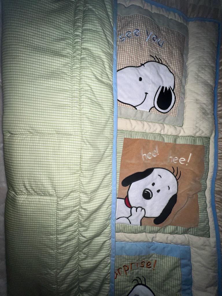 Vintage Snoopy Blanket Quilt Tapestry Peek A Boo I See You Baby ...