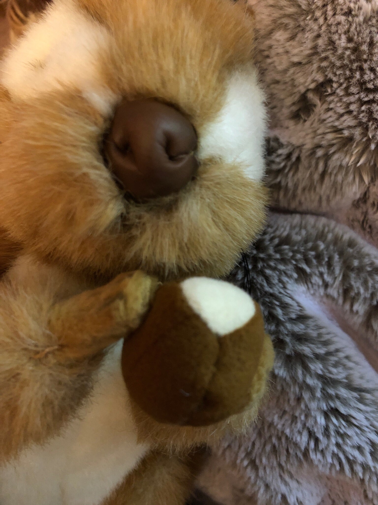 Vintage Ganz Squirrel plush Heritage Collection Chippy NWWTS | Etsy