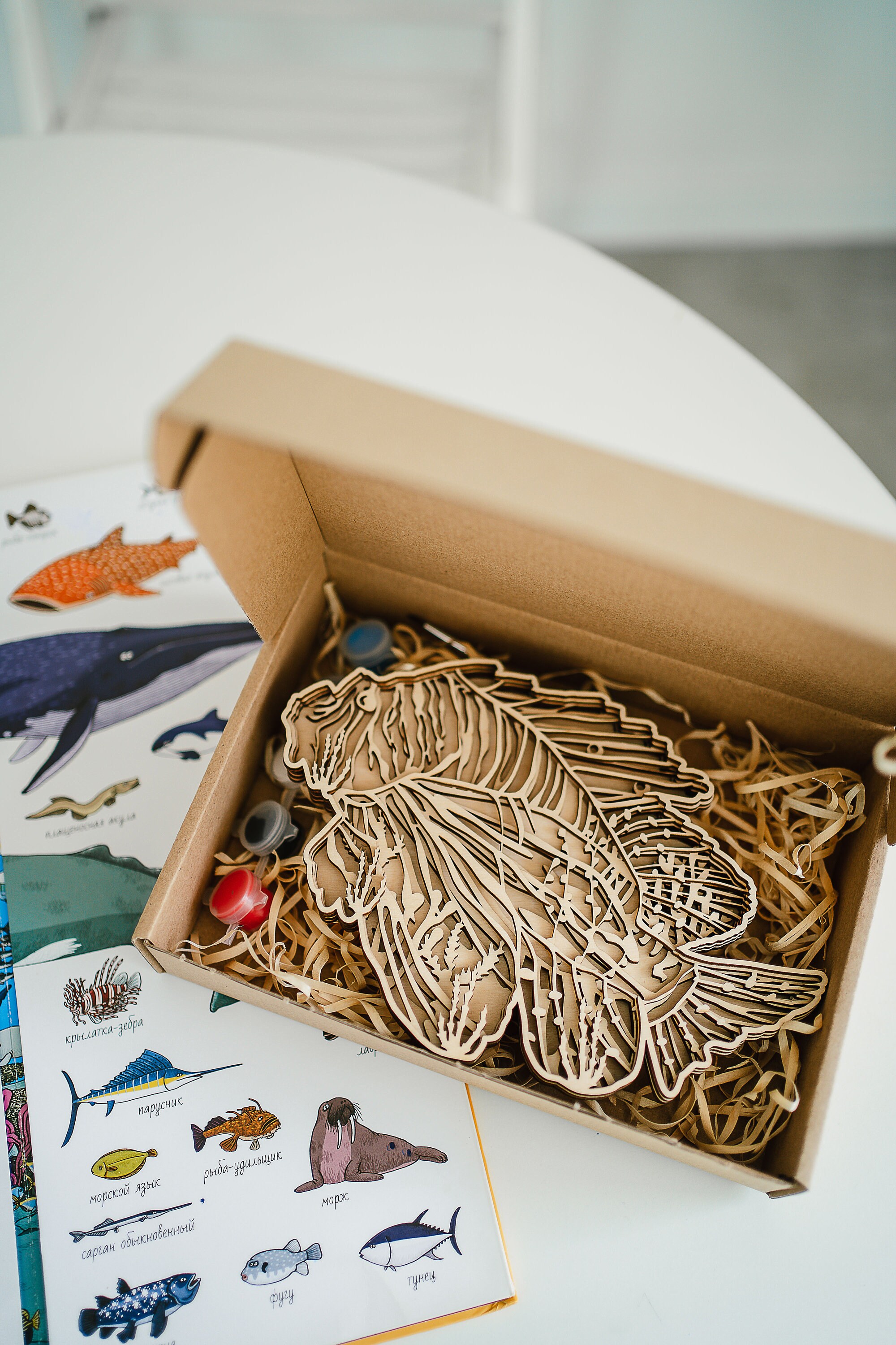 Coloring Set Wood DIY Under the Lion Fish Wood Paint Kit - Etsy