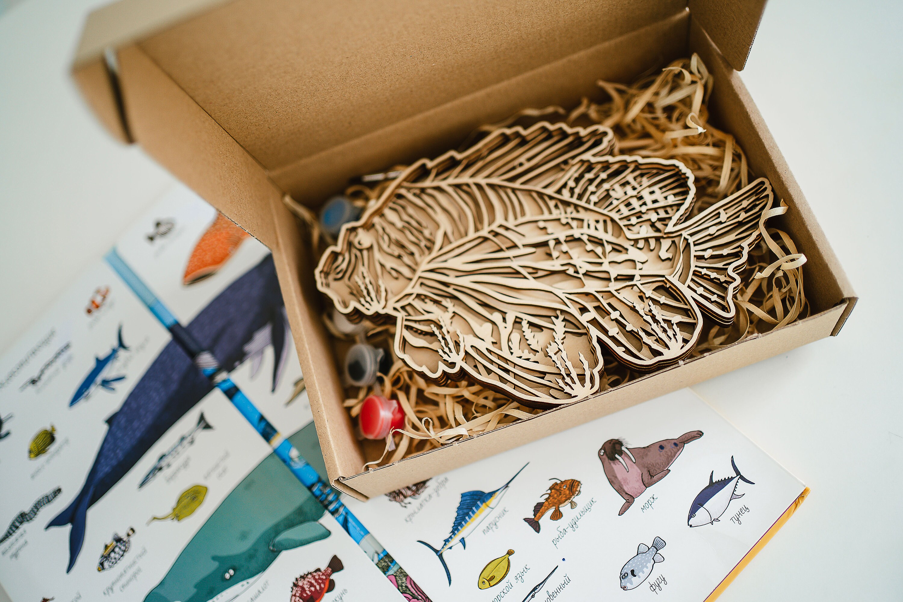 Coloring Set Wood DIY Under the Lion Fish Wood Paint Kit - Etsy