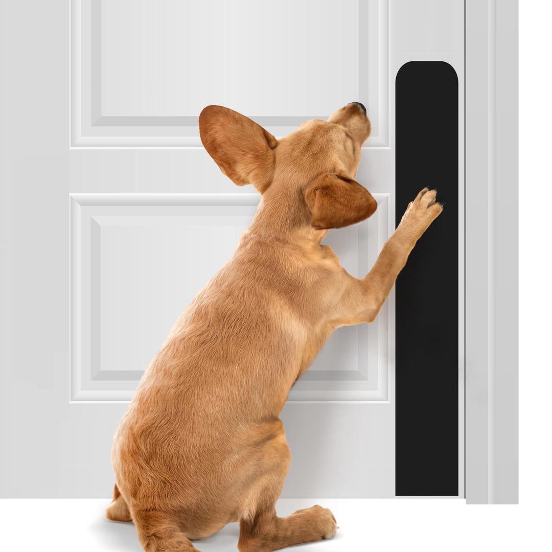 Dog Scratch Door Protection Plate - Pet Safe - 3M Adhesive Mount ...