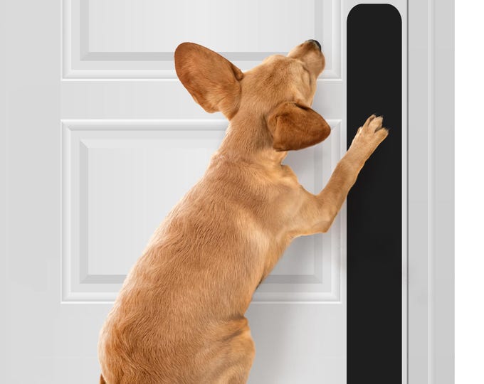Dog Scratch Door Protection Plate - Pet Safe - 3M Adhesive Mount ...