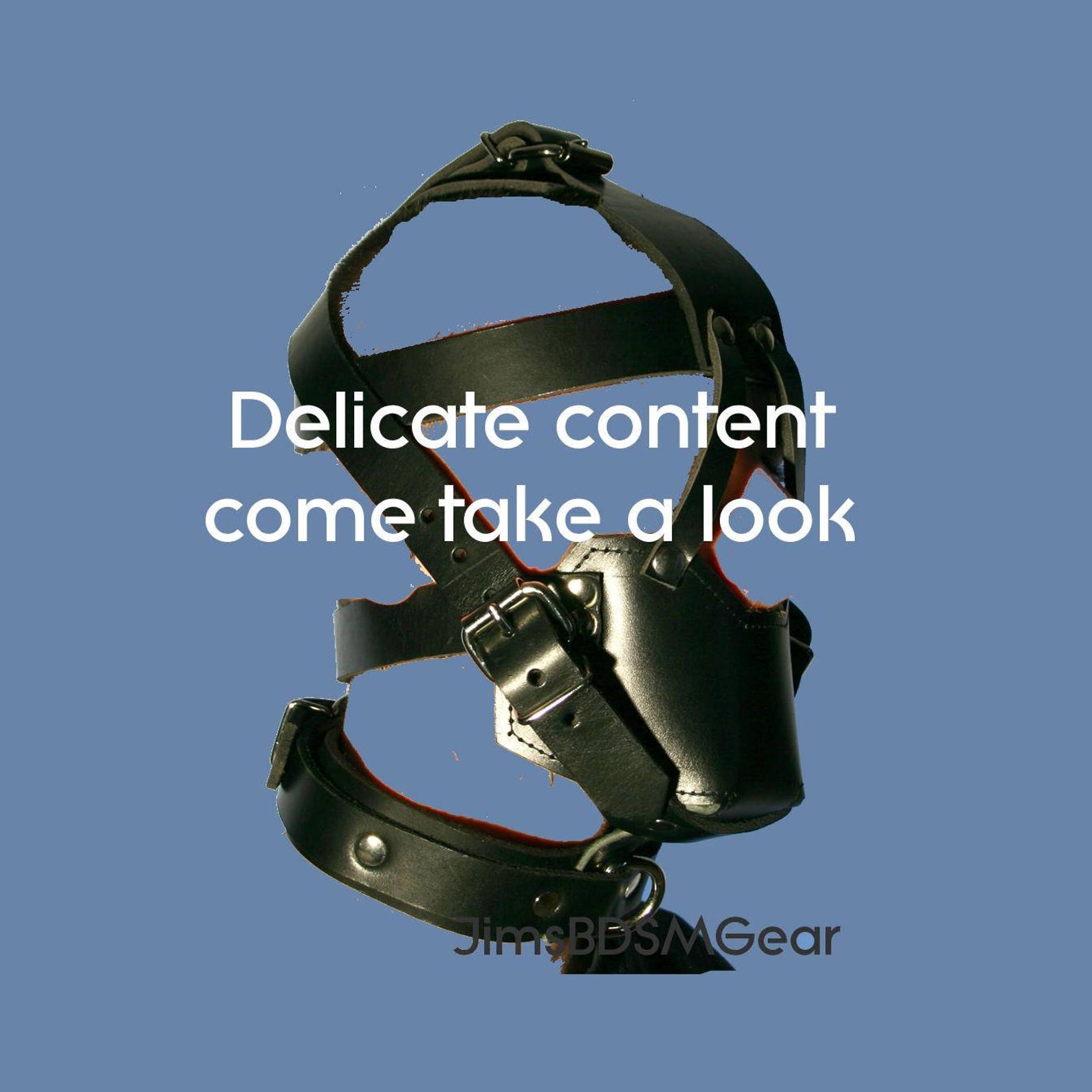 Padded Face Muzzle Puppy Muzzle - Etsy