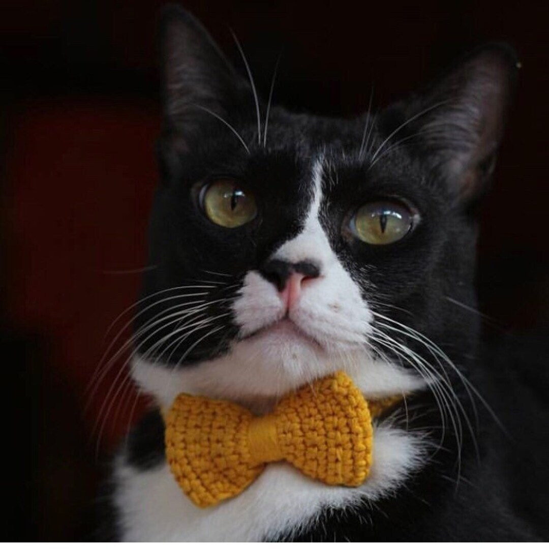 Yellow Crochet Cat Collar, Adjustable Cat Bow Tie Collar, Breakaway ...
