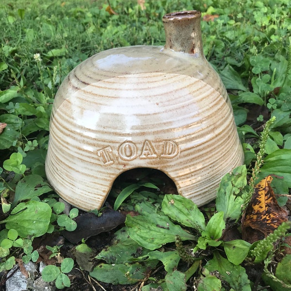 Toad House - Etsy