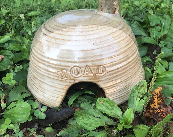 Toad House Made-to-order - Etsy