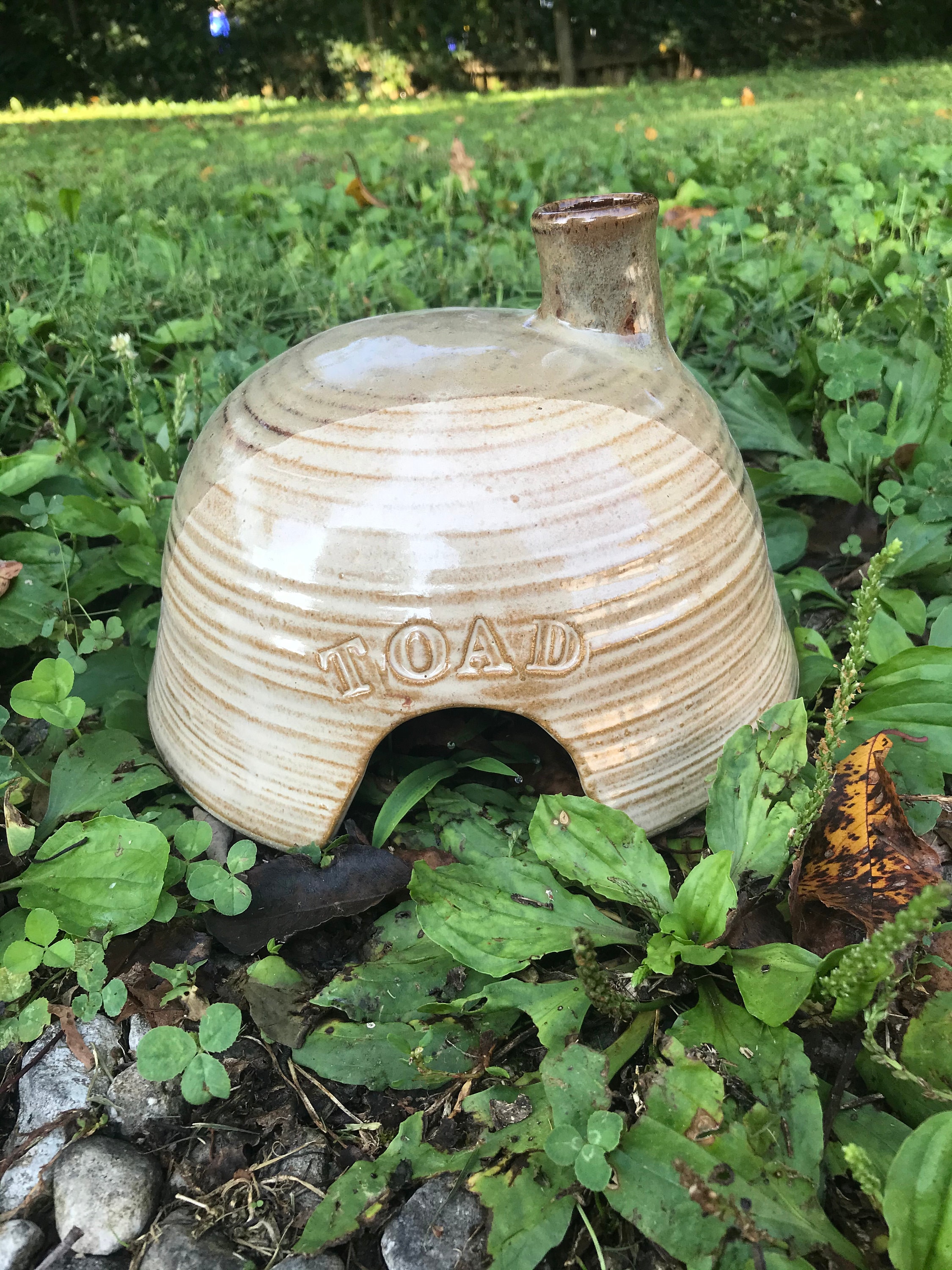 Toad House Made-to-order - Etsy