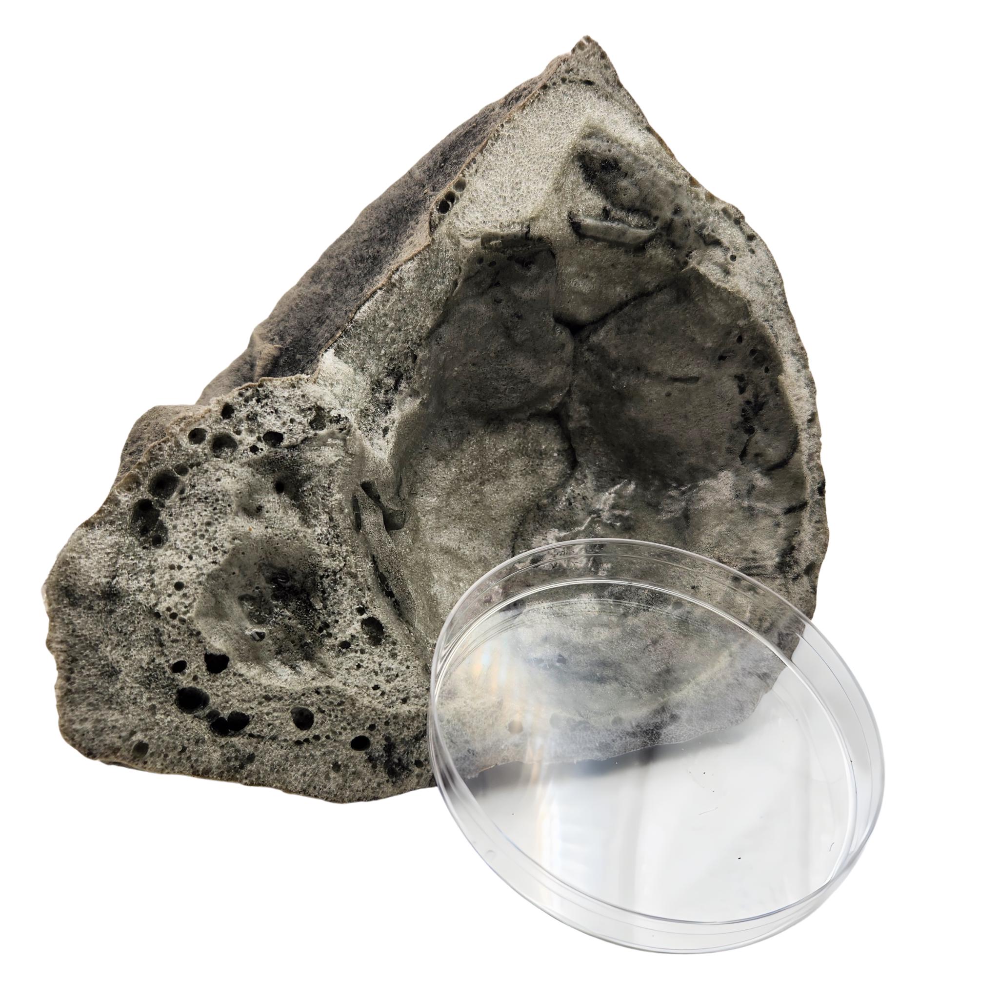 Rock Hut! Faux Rock Coco Hut Replacement! Grey - Etsy