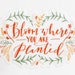 Bloom Where You Are Planted Sticker Decal - Hand Lettered Vinyl RV Car ...
