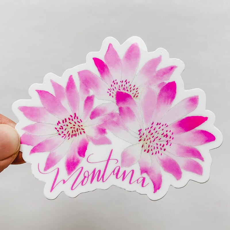 Bitterroot Flower - Etsy