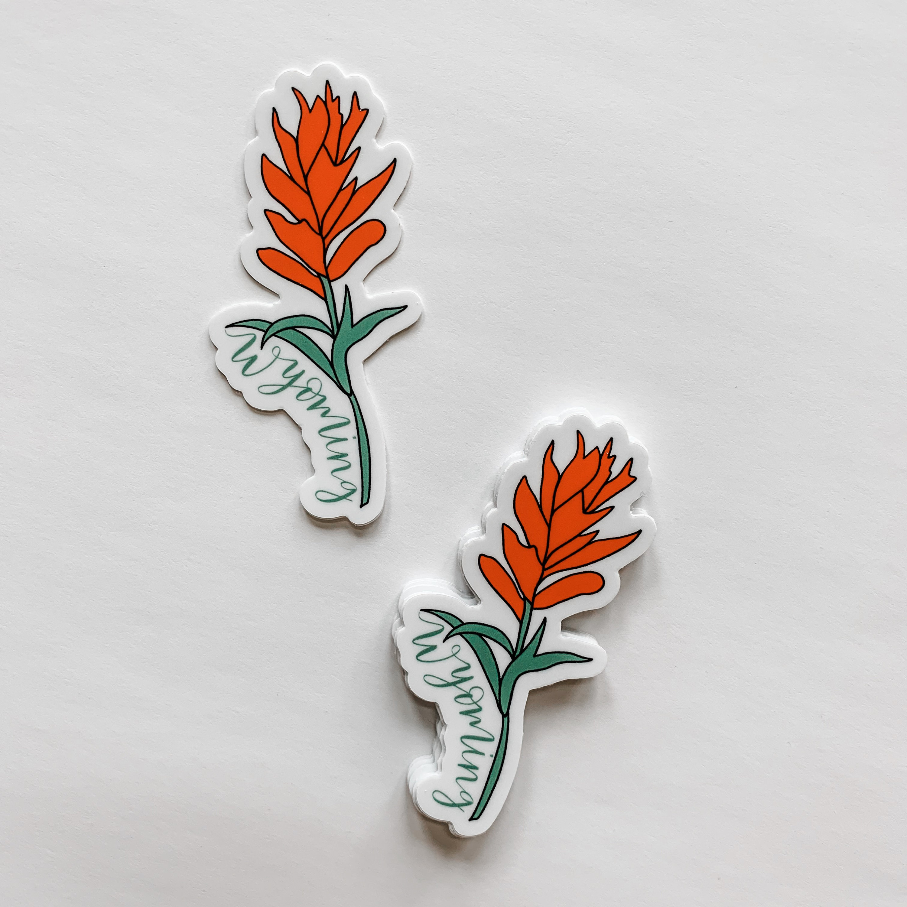 Wyoming Indian Paintbrush Sticker Decal Vinyl RV Decal Car - Etsy