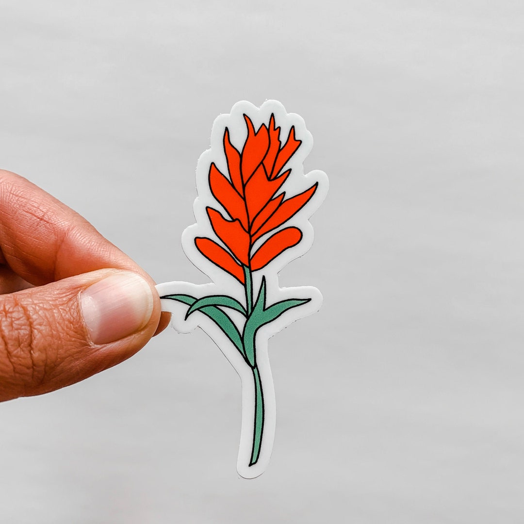 Indian Paintbrush Sticker Decal, Vinyl, RV Decal Car Decal, Laptop Home ...