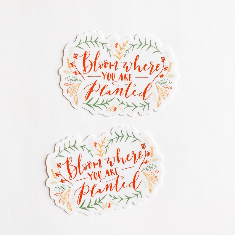 Bloom Where You Are Planted Sticker Decal hand lettered | Etsy