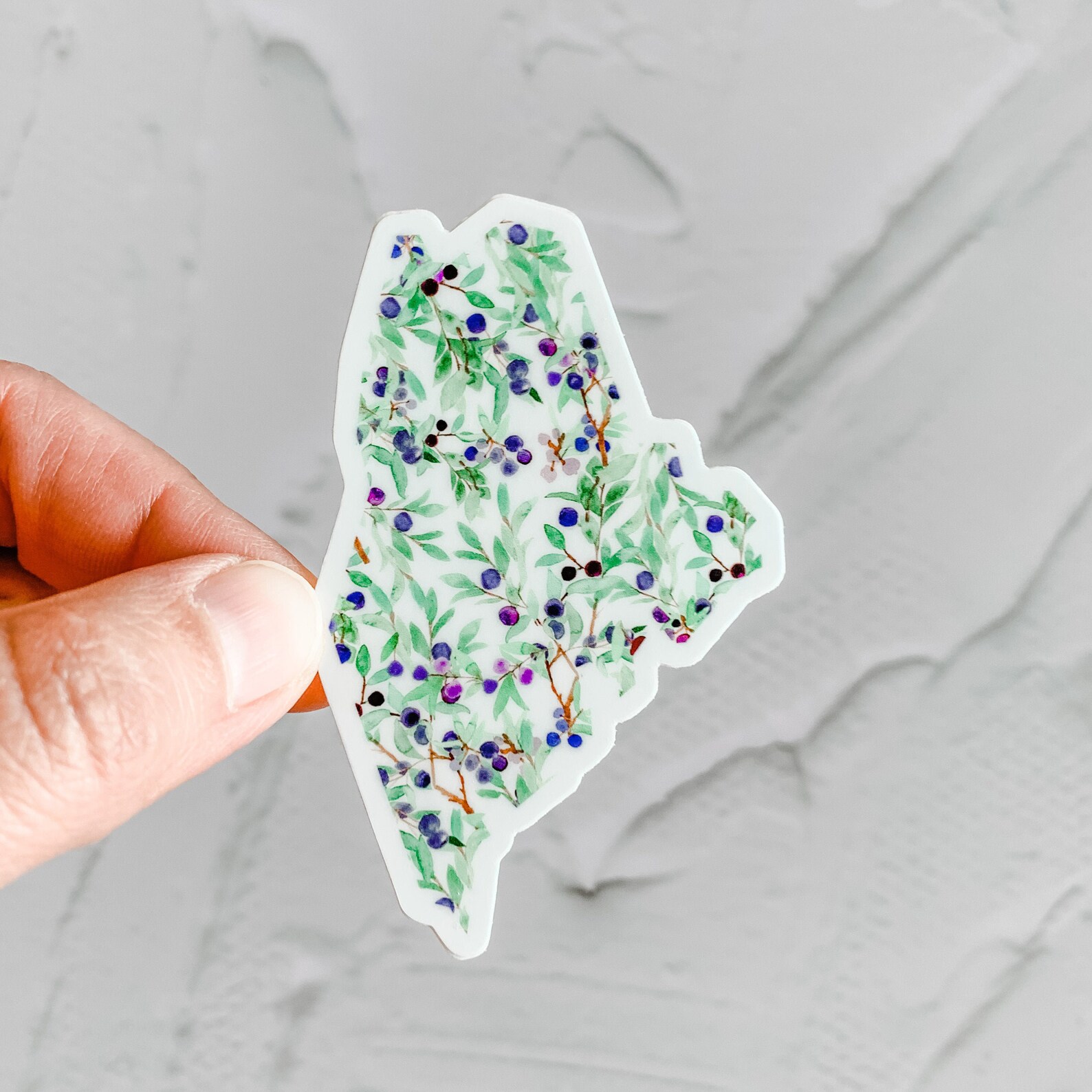 Maine State Blueberries Sticker Decal Vinyl RV Car Laptop - Etsy