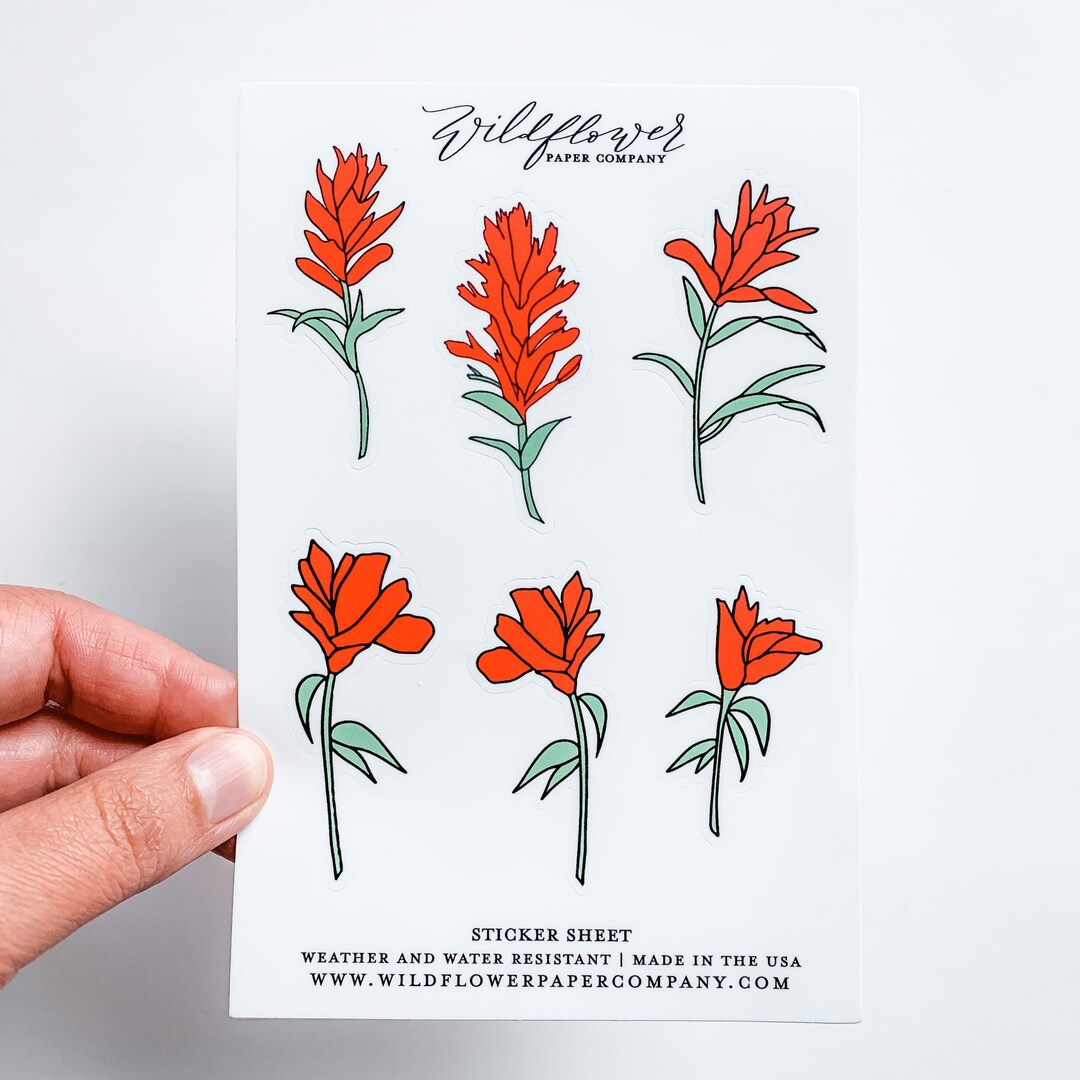 Indian Paintbrush Flower Sticker Sheet, Decal, Vinyl, RV Decal Car ...