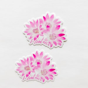 Montana Bitterroot Flower State Sticker Decal, Vinyl, RV Decal Car ...