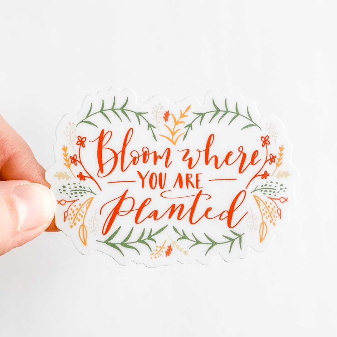 Bloom Where You Are Planted Sticker Decal - Hand Lettered Vinyl RV Car ...