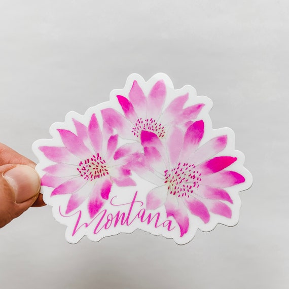 Montana Bitterroot Flower State Sticker Decal Vinyl RV Decal - Etsy