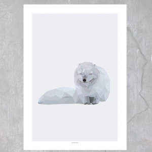 Arctic Fox Poster - Etsy