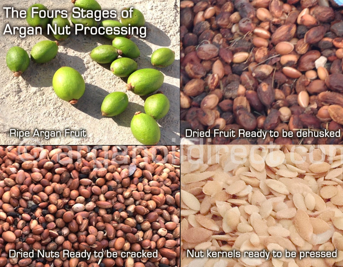 Culinary Argan Oil 2x200ml 2x7 Fl Oz Organic Moroccan - Etsy