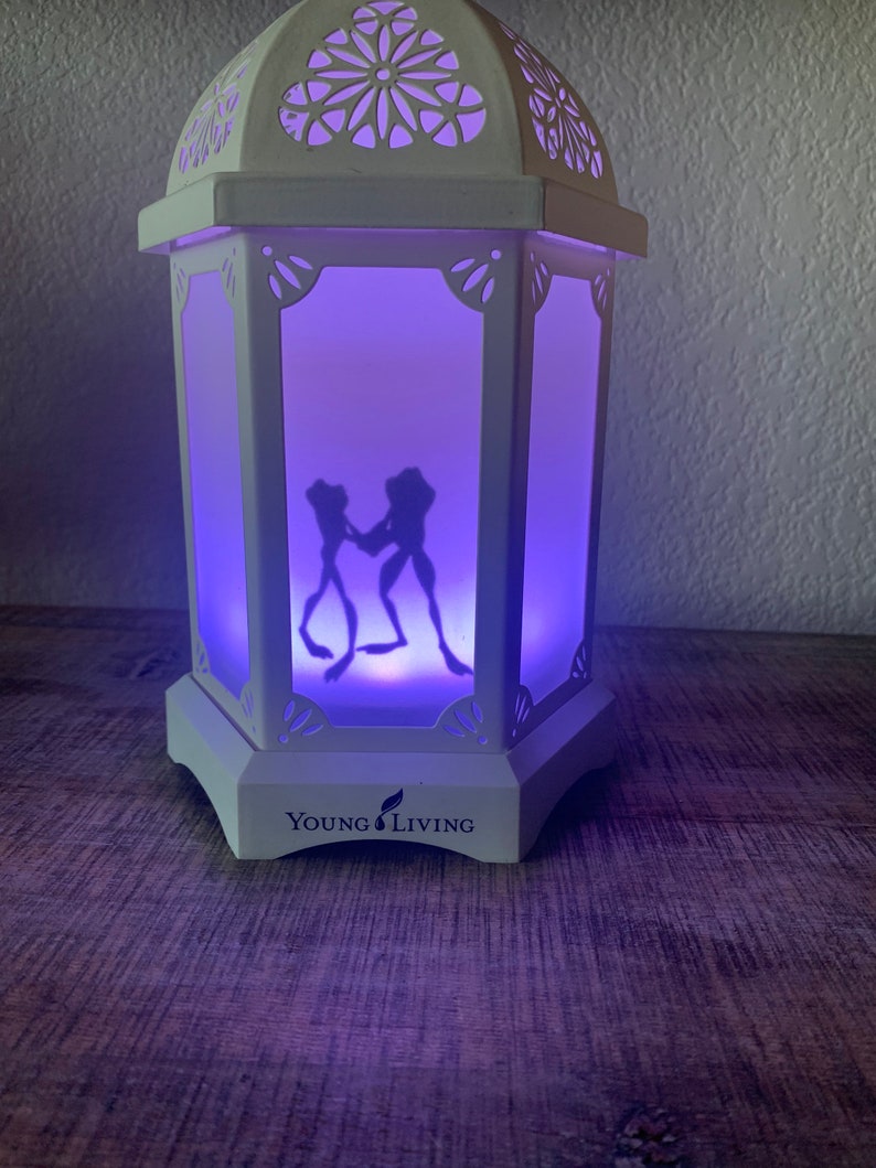 DECAL ONLY ------- Princess and the Frog Decal; Frog Prince Decal ...