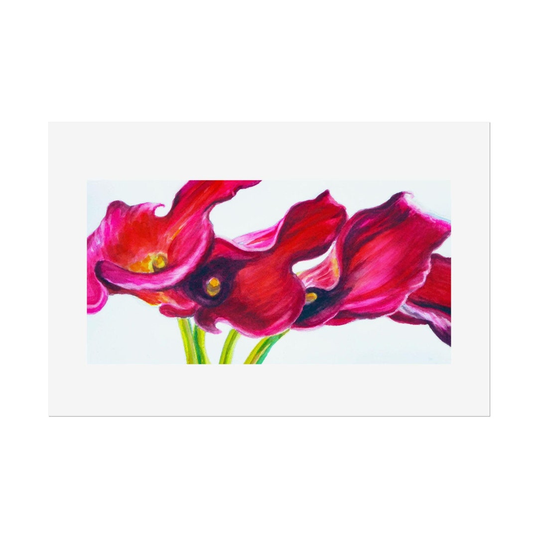 Red Lily Rolled Posters-scarlet Flowers-calla Lilies-contemporary Art ...