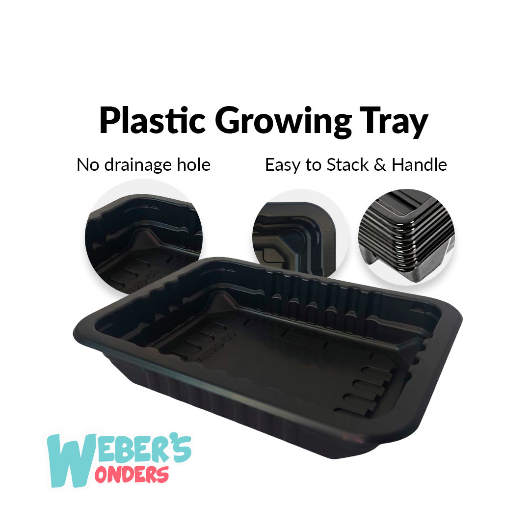 Hydroponic Growing Tray No Drain Holes Extra Strength Microgreen Trays ...