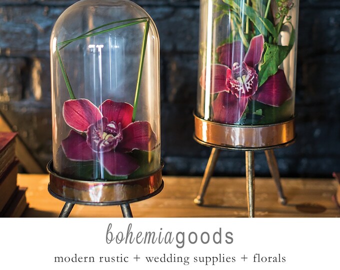 LED Glass Dome Tabletop Display Case Flower Glass Dome Preserved Flower ...