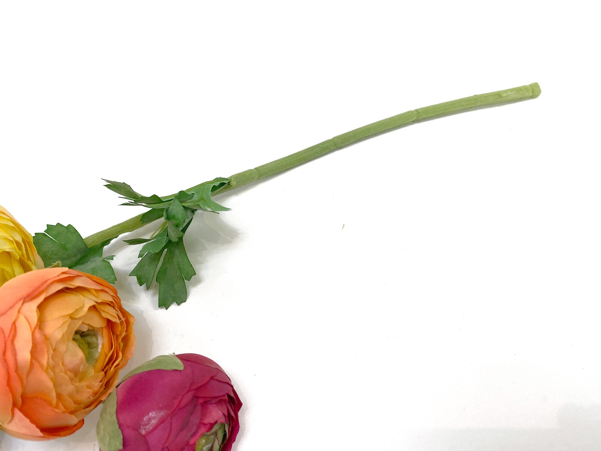 Large Ranunculus Ranunculus Flowers Pink Ranunculus - Etsy