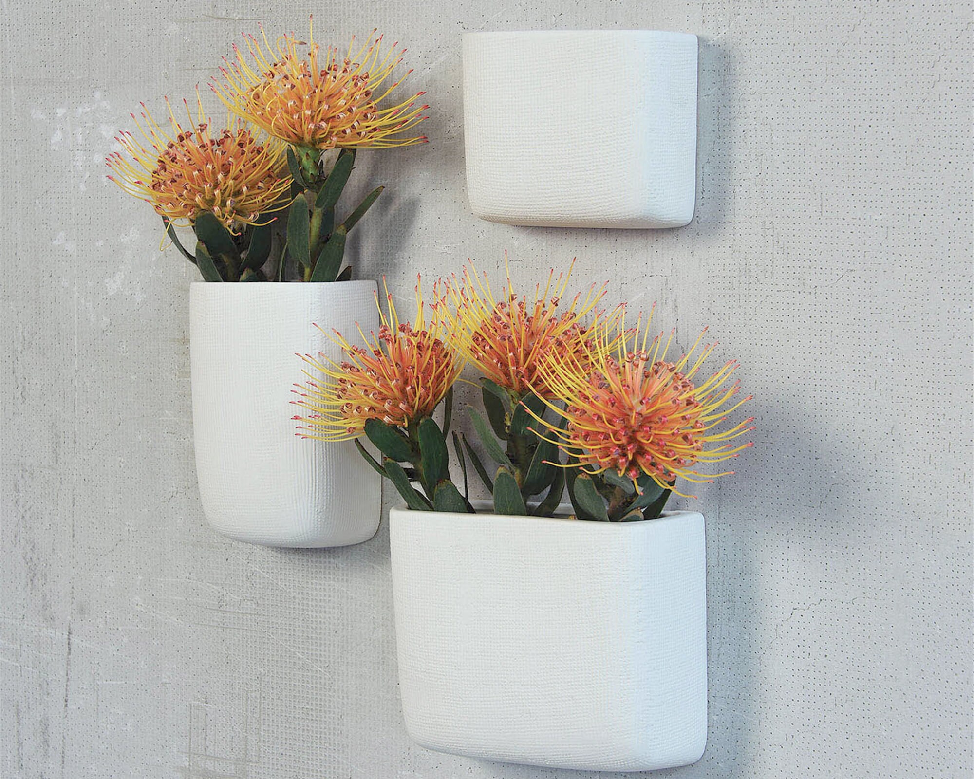 Wall Planter Wall Hanging Ceramic Wall Pot Wall Decor - Etsy