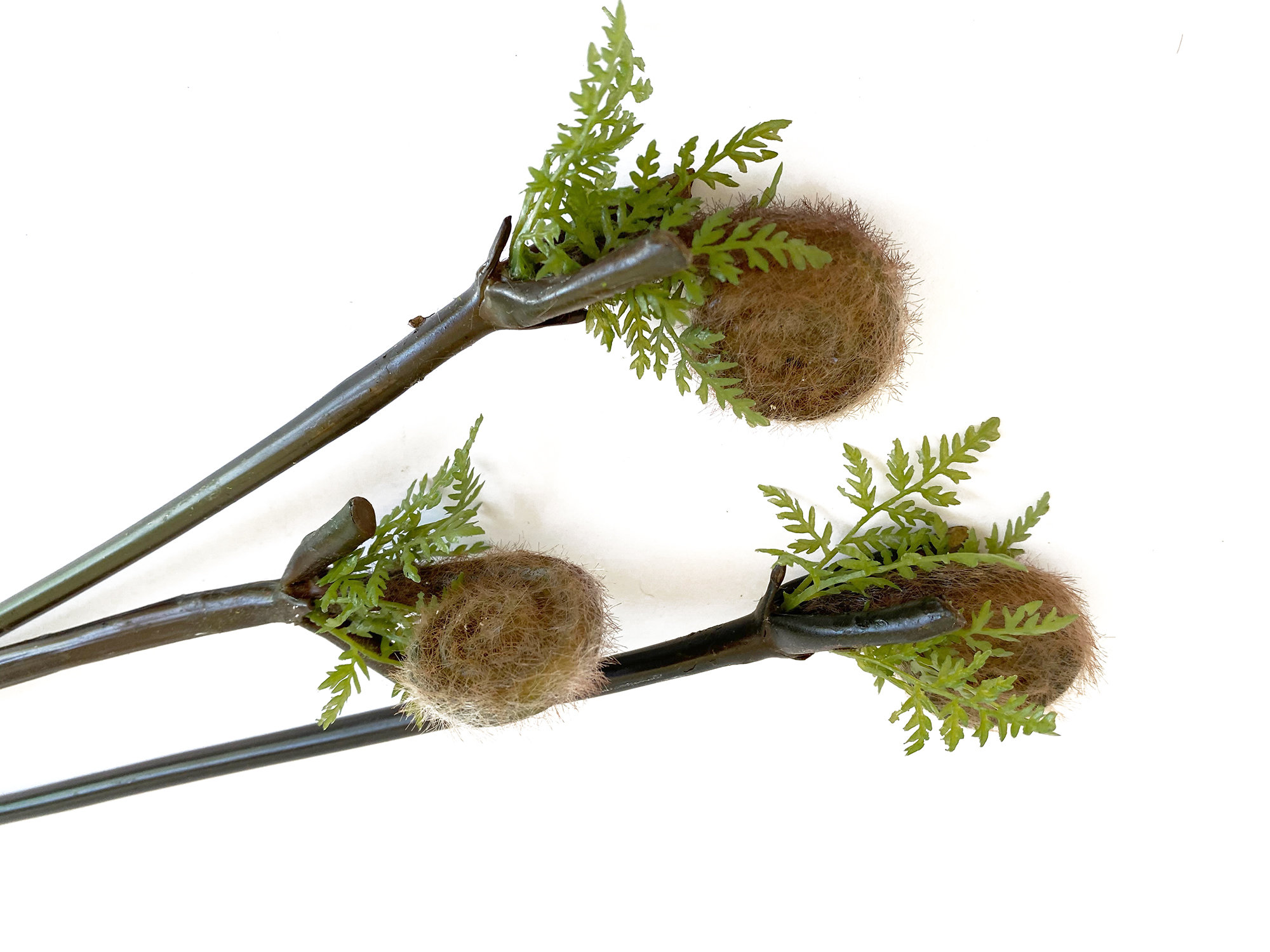 Faux Fiddlehead Fern Stem: Artificial Plant Decor (26") - Etsy