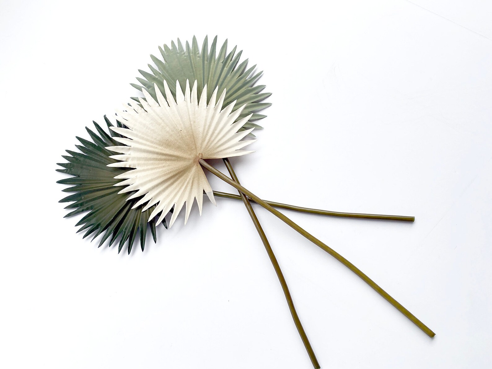 Fan Palm, Dried Look, Artificial Fan Palm, Palmetto, Palm Leaves ...