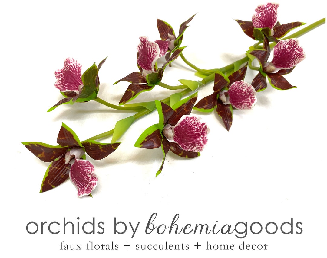 Tall Artificial Cattleya Orchid Stem - 24" Faux Floral Spray - Etsy
