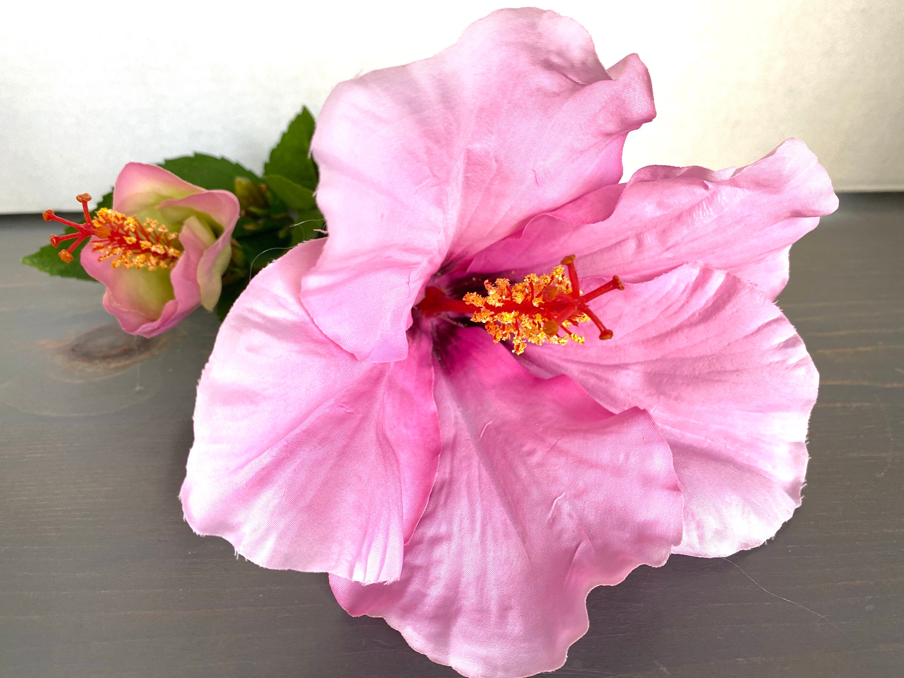 Hibiscus pink hibiscus flower tropical hibiscus plant | Etsy
