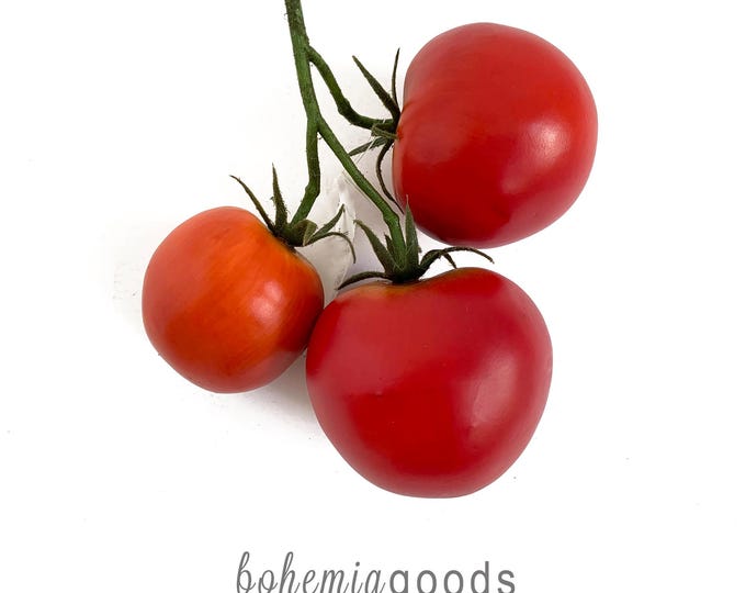 Artificial Tomato, Faux Tomato, Red Tomato, Tomato on the Vine - Etsy