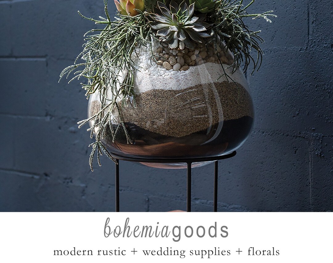X-LG Glass Terrarium, Indoor Planter, Terrarium Centerpiece, Plant ...