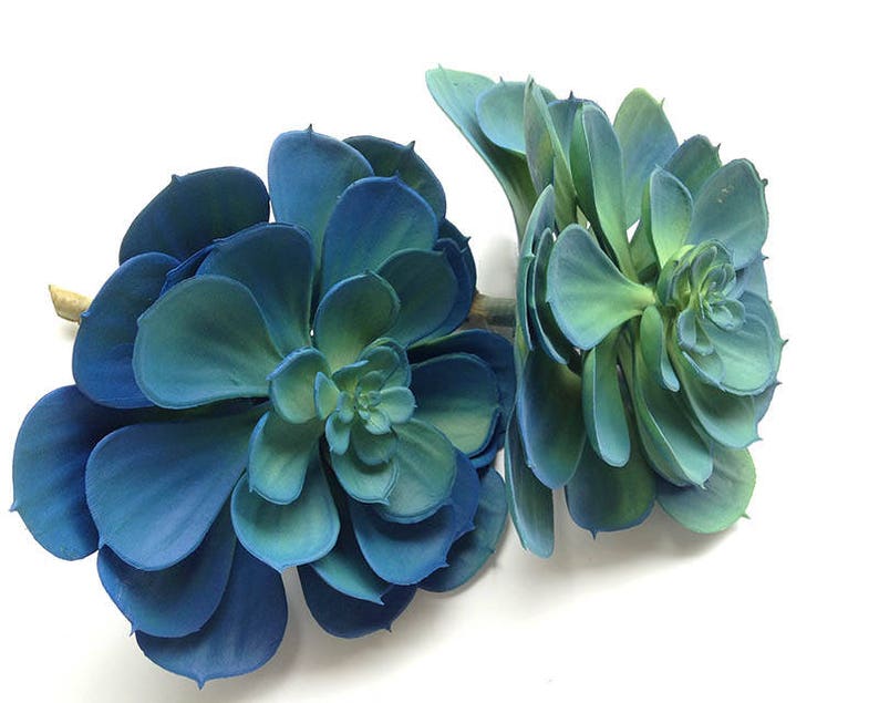 Artificial Succulent Turquoise Desk Planter Blue Echeveria - Etsy
