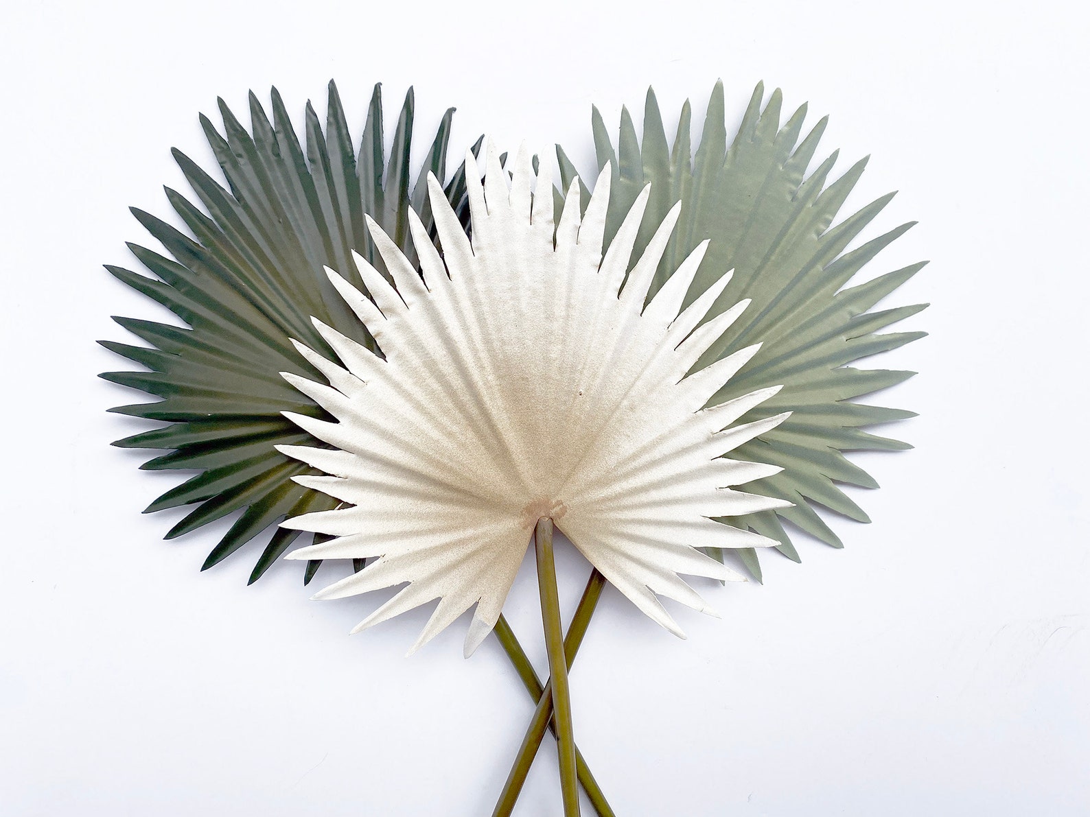 Fan Palm, Dried Look, Artificial Fan Palm, Palmetto, Palm Leaves ...