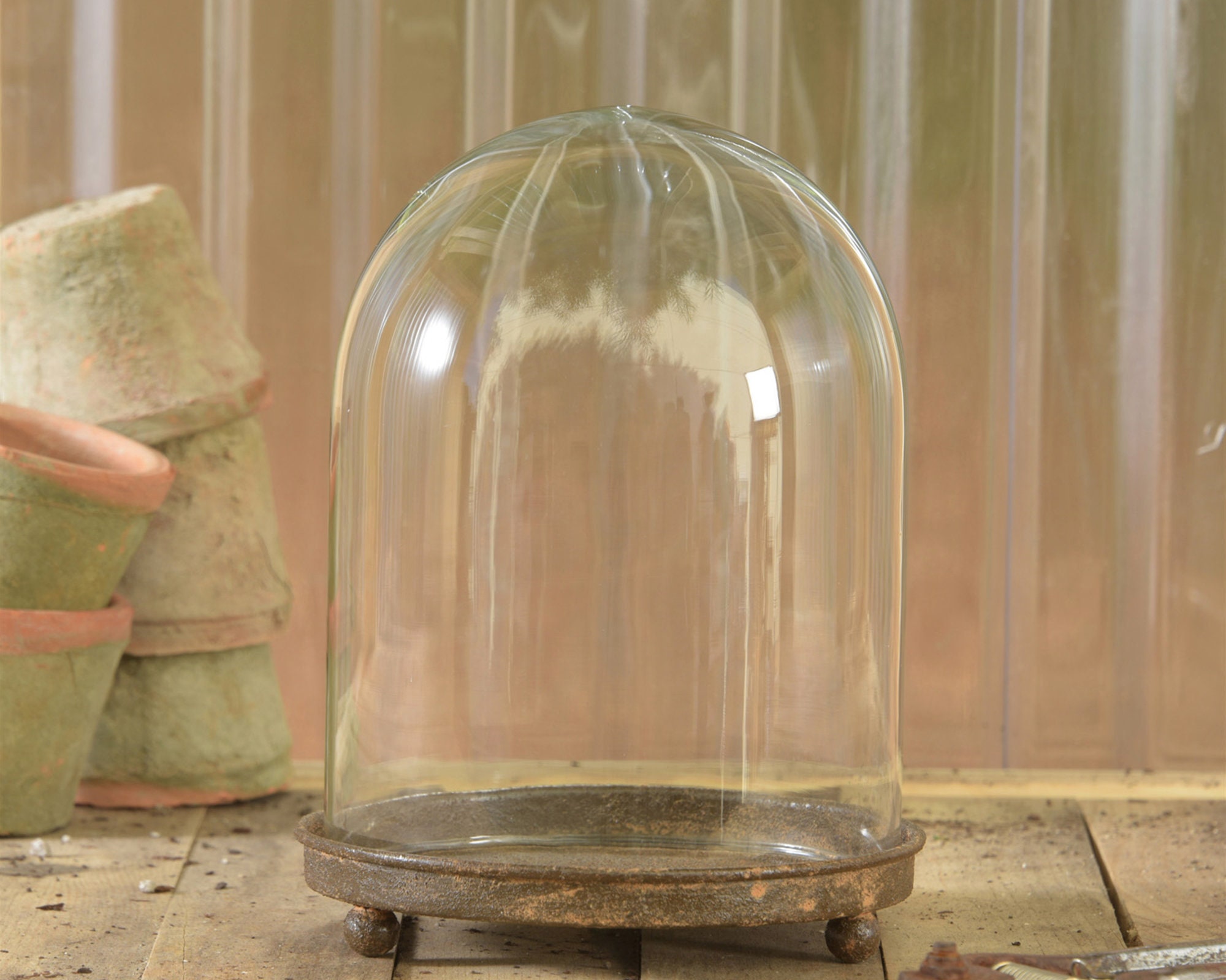 Glass Cloche With Tray Terrarium Garden Decor Gardening - Etsy