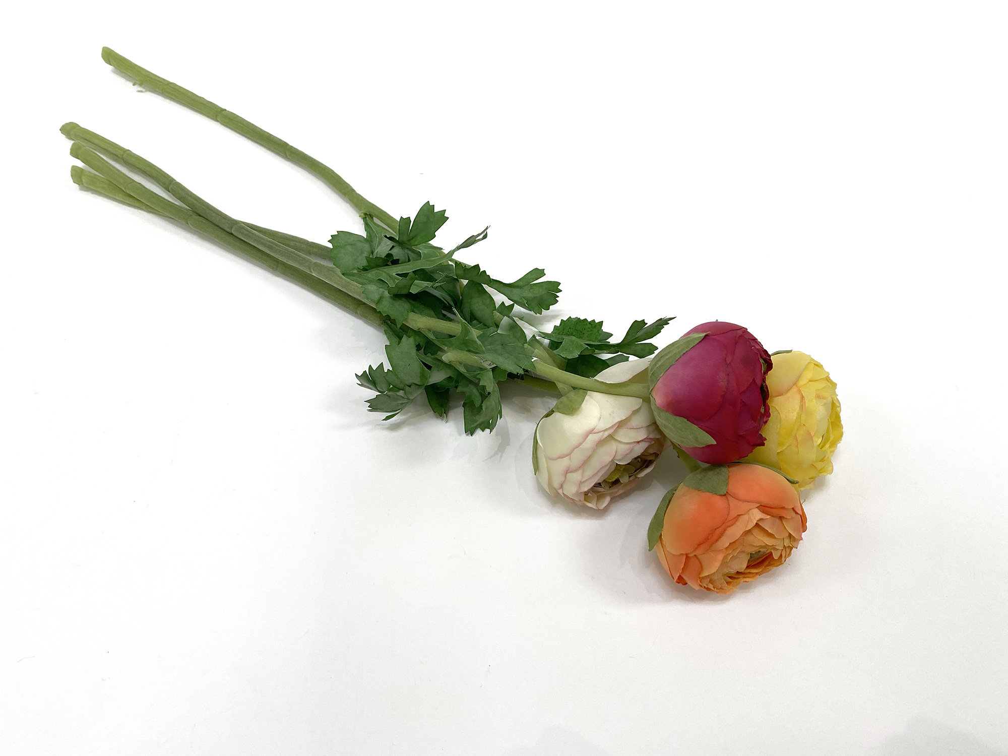 Large Ranunculus Ranunculus Flowers Pink Ranunculus - Etsy