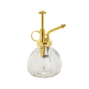 Plant Mister, Air Plant Mister, Houseplant Mister, Houseplants, Air ...