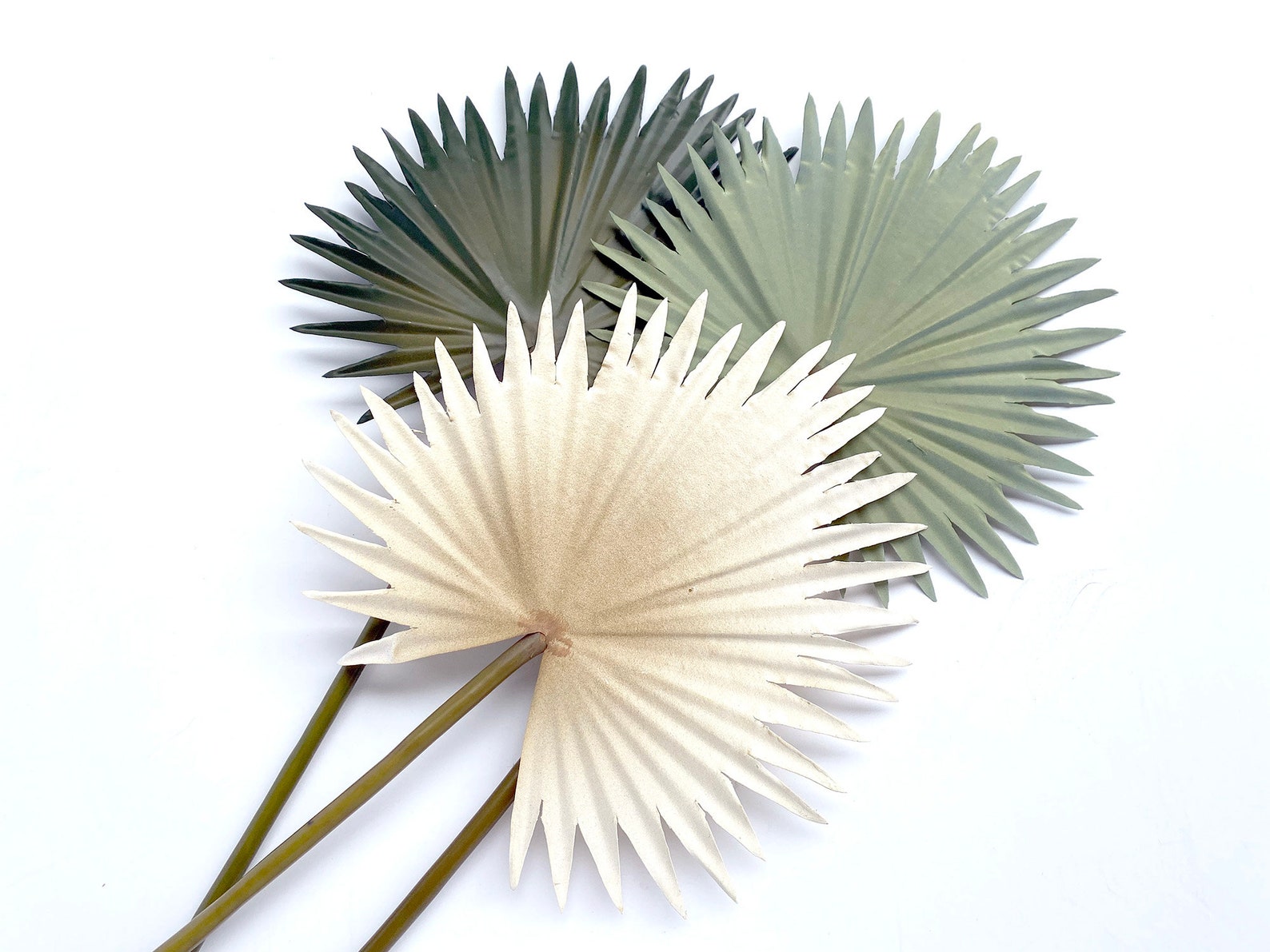 Fan Palm, Dried Look, Artificial Fan Palm, Palmetto, Palm Leaves ...