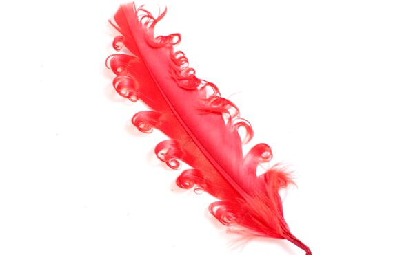 Red Curled Duck Feathers. 5 Curly Goose Craft Feathers With - Etsy