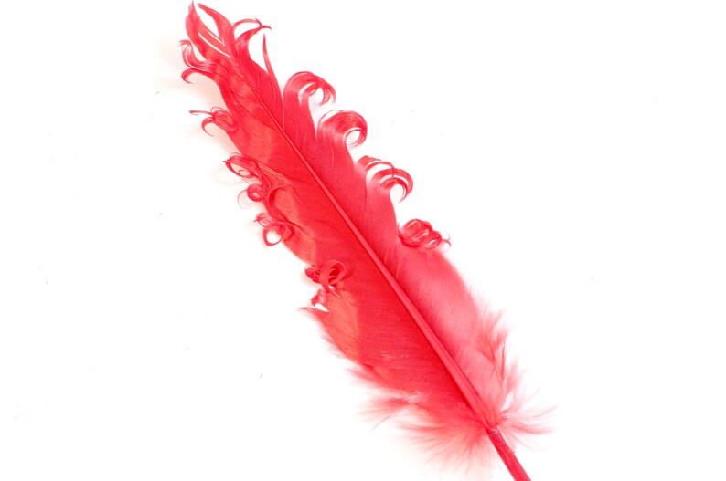 Red Curled Duck Feathers. 5 Curly Goose Craft Feathers With - Etsy