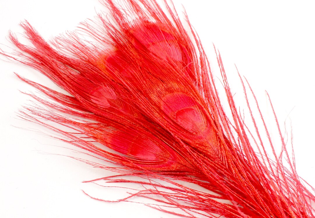 Red Peacock Feathers. (5) Cardinal Colored Bird Decorations With Large ...