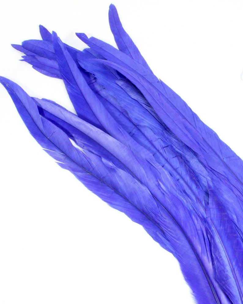 9-11 Inch Rooster Tail Feathers. 5 Long Blue Feather. Navy | Etsy